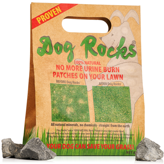 Dog Rocks, Original 100% Natural Cure to Pet Pee Burning Your Grass ...